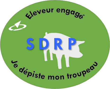 Porcins – Maladies – SDRP – GDS Réseau 3M'